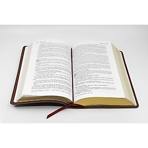 Personalized Bible Custom Text Your Name Santa Biblia La Historia NVI (Spanish Edition) Custom Made Gift for Baptisms Christenings Birthdays Celebrations Holidays