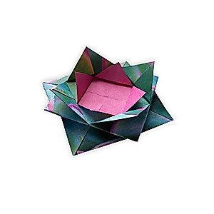 Origami Paper 500 sheets Succulents 6" (15 cm): Tuttle Origami Paper: Double-Sided Origami Sheets with 12 Different Photographs (Instructions for 6 Projects Included)