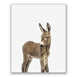 Baby Farm Animals Poster Prints - Set of 6 (8x10) Adorable Furry Barn Portraits Wall Art Nursery Decor - Calf (Cow) - Chick (Chicken) - Donkey - Foal (Horse) - Duckling (Duck) - Piglet (Pig)