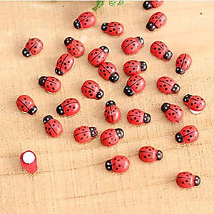 ekqw015l Miniature Ornaments Plant Pots, Bonsai Garden Accessories & 100Pcs/Set Manual Mini Wooden Ladybird Micro Landscape Decor DIY Wall Sticker