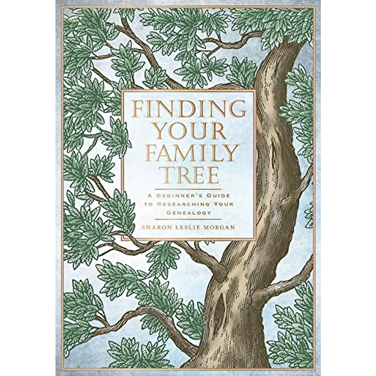 Finding Your Family Tree: A Beginner’s Guide to Researching Your Genealogy