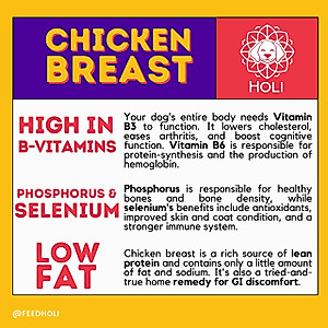 HOLI Freeze Dried Chicken Dog Food Topper - Single Ingredient, Human-Grade Lean Chicken Breast - Dog Food Flavor Enhancer for Picky Dogs – 100% All Natural - 1.75oz