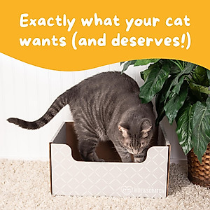 Hide & Scratch Heavy Duty Cardboard Cat Scratcher Box and Cat Bed with Refillable Double-Sided Cardboard Scratch Pad for Indoor Cats