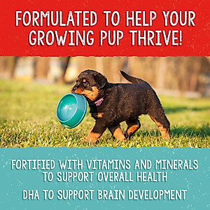 Stella & Chewy's Freeze Dried Raw Meal Mixers – Crafted for Puppies – Grain Free, Protein Rich Perfectly Puppy Beef & Salmon Recipe – 3.5 oz Bag