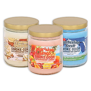 Bulk Smoke Odor Exterminator Odor Eliminating Scented Candles, Odor Eliminating Candle, Cooking Odor Eliminator Case of 12 (Mystery Variety Pack)