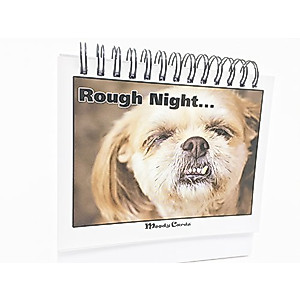 Office Gift for Dog Lovers - Moodycards! Make Everyone Laugh with These Adorable and Hilarious Dog Memes - Let The Dogs Tell Everyone How You Feel! A Terrific Office Gift! 25 Different Moods
