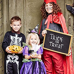 Cabilock Clear Cellophane Wrap Roll 17 in ×100 ft 2 Rolls Cellophane Wrapping Paper for Favor Gift Baskets Flowers Arts & Crafts Treats