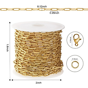 Kyutong 5M Gold Plated Necklace Chain for Jewelry Making 304 Stainless Steel Paperclip Chain Roll with Lobster Clasps and Jump Rings for Men Women Making Jewelry Craft Support Jewelry Findings