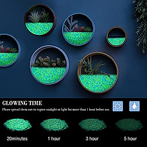 Glow in The Dark Rocks Outdoor Small Luminous Pebbles Fish Tank Stones Glow in Dark Rocks for Aquarium,Bonsai,Cactus,Vase Fillers,150g/0.33lbs(Color,3-5mm)