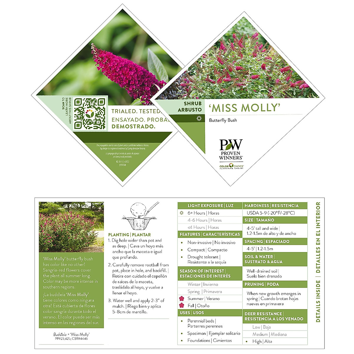 Proven Winner Miss Molly Buddleia 2 Gal, Pink and Red Blooms