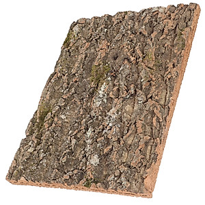 Ipetboom Reptile Tree Bark Lizard Climbing Platform Botanical Decor Plant Decorations Leopard Gecko Costume Snake Hiding Place Reptile Bark Platform Turtle Climbing Bark Natural Animal Cork