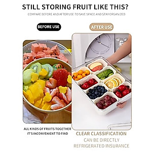 SNEKZ 𝟮 𝗣𝗮𝗰𝗸 Divided Serving Tray with Lid and Handle, 8 Compartments Portable Snackle Box Container for Fruit, Veggies,Clear Snack Containers for Kids and Adult, Perfect for Travel, Picnic