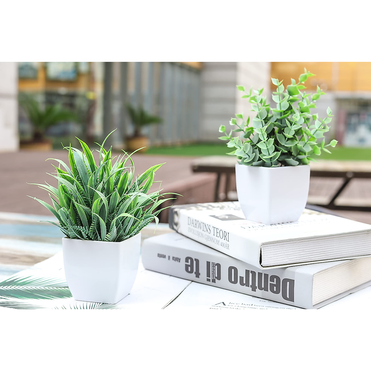 Der Rose 2 Packs Small Fake Plants Mini Artificial Potted Plants for Table Desk Home Bathroom Office Decor…