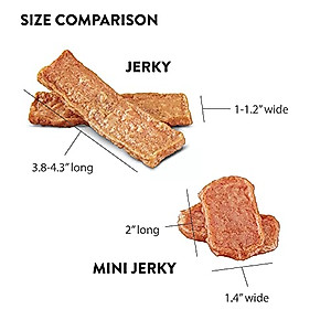 Dogswell Jerky Skin and Coat – Mini Salmon Jerky Dog Treats with Dog Skin & Coat Support (4 oz. Salmon)