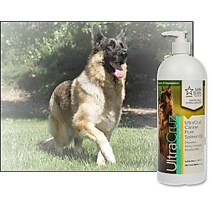 UltraCruz Canine Pure Salmon Oil Supplement for Dogs, 32 oz,sc-395127