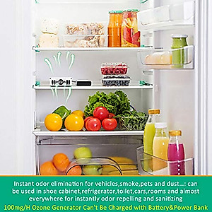 Evron Portable Ozone Generator 50mg/H Plug-in,Power-Bank & AA Battery Chargable Air Ionizer with Fan Ozone Machine for Fridge,Rooms, Cars,Travel and Pets (No Battery Inside)