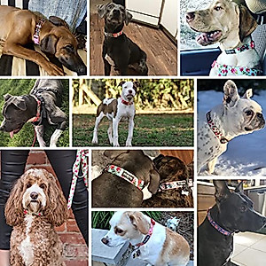 Blueberry Pet 7 Patterns Spring Scent Inspired Floral Rose Print Turquoise Adjustable Dog Collar, X-Small, Neck 8"-11"