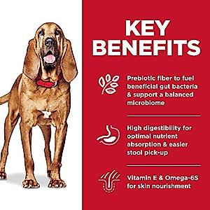 Hill's Science Diet Dry Dog Food, Adult, Sensitive Stomach & Skin, Chicken & Barley Recipe, 30 lb. Bag