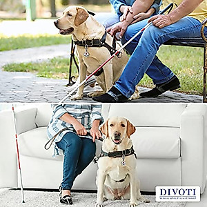 Leash King 1.25" Double-Sided Service Dog Tag with 1.3" Solid Quick Clip– Easily Attach to Collar, Harness, Vest – Entirely Surgical Stainless Steel – PVD Rose Gold