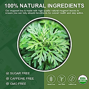 Organic Mugwort Tea Bags - Mugwort Herb Dried Leaves, Pure Natural Artemisia Vulgaris Herbal Tea, Caffeine Free, 30 Tea Bags