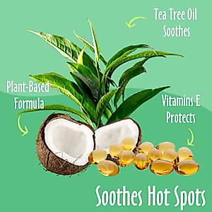 earthbath, Hot Spot Relief Spray - Tea Tree Oil Hot Spot Treatment for Dogs, Best Dog Shampoo for Itching & Skin Conditions, Made in USA, Cruelty Free Itch Relief for Dogs - 8 Oz (1 Pack)