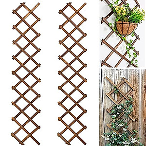 Avalution Extensible Natural Garden Wooden Fence Lattice Frame Plant Support Frame Natural Wooden Lattice Frame for Cucumber Climbing Plant Vines Ivy Rose 75"x11.8" Lattice Fence Panel(2Pack)