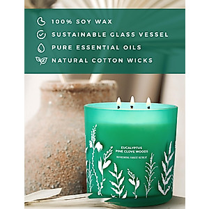 Eucalyptus Pine Clove Balsam Candle 3 Wick - Christmas Tree Scented Candle - Natural Soy Candle for Home Scented 14.5 Oz - Winter Holiday Candle Gift, Aromatherapy Stress Relief Candle for Women & Men
