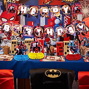 Birthday Party Supplies, Birthday Decorations Set Include Birthday Banners,Hanging Swirls and Honeycomb Centerpiece for Party Decorations