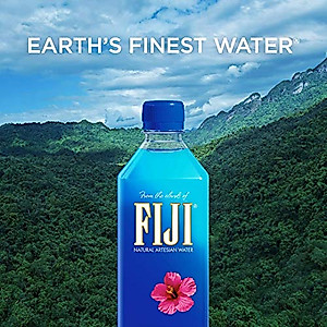 FIJI Natural Artesian Water, 16.9 Fl Oz (Pack of 24)