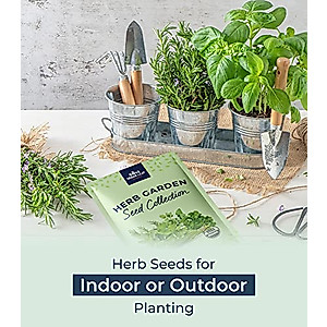 Herb Garden Starter Kit (8 pc) – Organic, Non GMO, high Germination Rate, resealable Secure Pouch - incl Bamboo Labels and Soil Starters