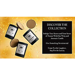 Stay Lit - Citrus & Champagne Scent, Natural Soy Wax Candle, Funny Witty Gift Box for Women Girlfriend Men, Luxury Long Lasting, Aromatherapy, Gag, Joke, Hostess, New Home, House Warming Present, 9 oz