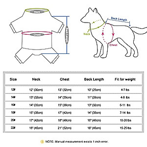 Didog Winter Small Dog Coats,Waterproof Jackets with Harness & D Rings, Warm Zip Up Cold Weather Coats for Puppy & Cats Walking Hiking,Blue,Chest: 13"