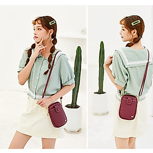 Aslana Touch Screen Phone Bag Vertical Small Crossbody Bag Handbag for Women (Wine Red)