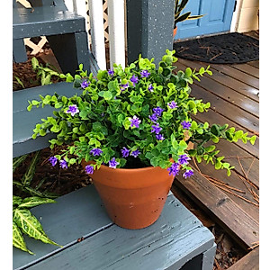 TEMCHY Artificial Plants Flowers Faux Boxwood Shrubs 6 Pack, Lifelike Fake Greenery Foliage with 42 Stems for Garden, Patio Yard, Wedding, Office and Farmhouse Indoor Outdoor Decor