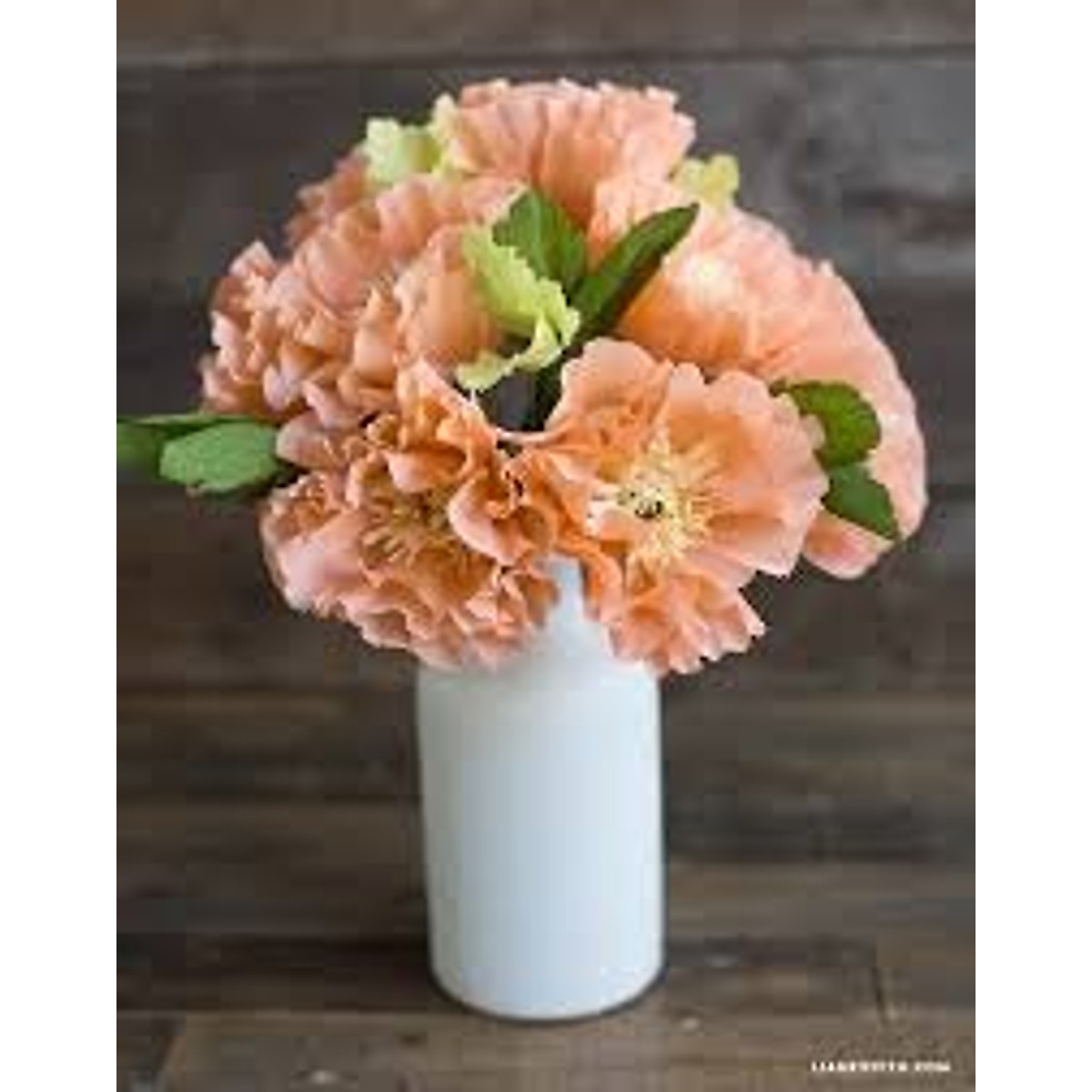 Lia Griffith Extra Fine Crepe Paper Folds Rolls, 10.7-Square Feet, Assorted Colors