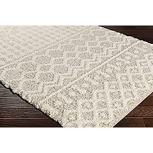Artistic Weavers Hapsburg Moroccan Shag Area Rug, 7'10" x 10'2", Beige