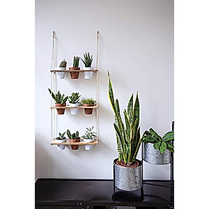 kimisty Wall Hanging Herb Planters, 3 Tiered Vertical Planter Shelf with Metal Pot Set, Indoor Garden, Wood Herb Garden for Kitchen, Vertical Hanging Planters Wall Hanging - Terracotta & White Pots