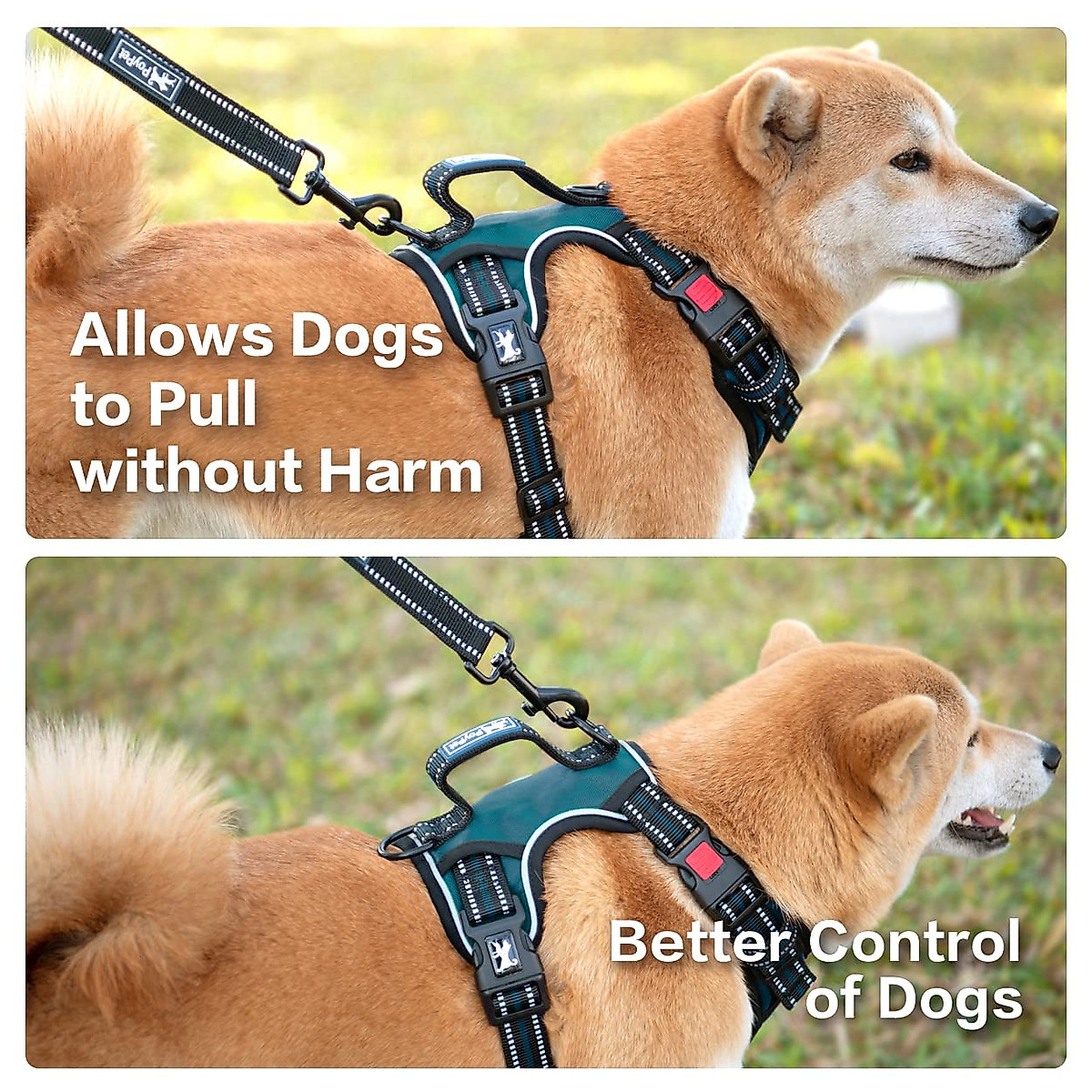 PoyPet No Pull Dog Harness, No Choke Front Clip Reflective Dog Vest with Soft Padded Vertical Handle, 3 Leash Attachments for Small Medium Large Dogs (Tumalo Teal,M)