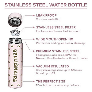 Controller Gear Animal Crossing 17oz, Insulated, Stainless Steel, Leak Proof, Water Bottle (Bellionaire)