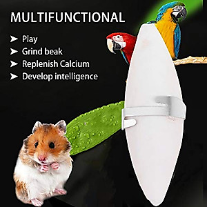 Balacoo 6 Set Bird Cuttlebone with Holder Parrot Chew Bite Cuttlebone Reptile Tortoise Snails Cuttlefish Bone Pet Teeth Grinding Toys
