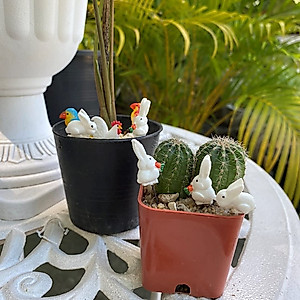 Ray 1979 Miniature Dollhouse Fairy Garden 0.5 inch Accessories 5 pcs Set for DIY Decorations, Mini Figurines for Mini Garden, Terrarium, Bonsai, Cactus, Moss Landscape (Rabbit -5Pcs)