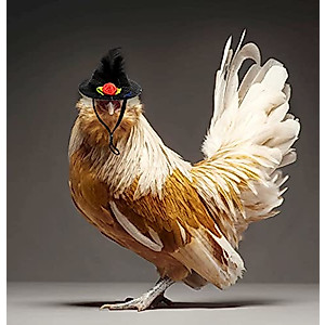 7 Pieces Chicken Hats Chicken Funny Costume Chicken Helmet Halloween Accessories Funny Small Hat Tiny Pet Hat for Hen Tiny Pets with Adjustable Elastic Chin Strap (7 Color)