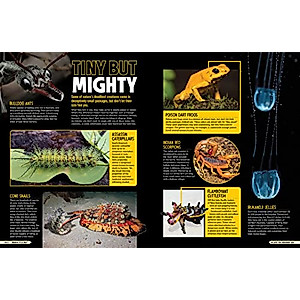 Ripley's Believe It Or Not! Escape the Ordinary (19) (ANNUAL)