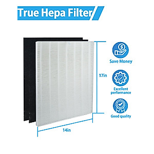 BBT BAMBOOST D480 True HEPA Replacement Filter D4 Compatible with Winix D480 Air Purifier, 1 True HEPA and 2 Activated Carbon Filters, Item Number 1712-0100-00