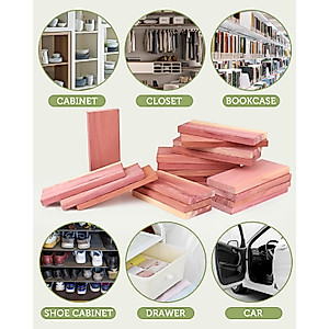 Aryiten Cedar Blocks for Clothes Storage, Aromatic Scent Cedar Wood Planks for Closets, Kitchen Storage and Drawers Freshener, 20 Pack
