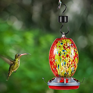 Hummingbird Feeder Bottom Set Hummingbird Feeder Accessories Outdoors Feeder Bottom Plastic Hummingbird Feeders Accessory Hooks Hummingbird Feeder Brushes