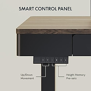 FLEXISPOT Q5 Standing Desk with Drawer, 48 x 24 Inch Electric Adjustable Height Stand Up Desk with Storage Organizer, Whole Piece Wooden Desktop for Home, Office, Computer Workstation, Dark Brown