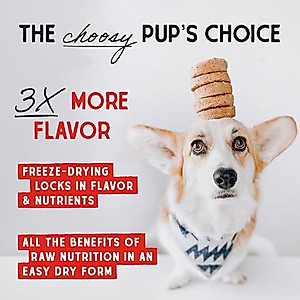 Stella & Chewy's Freeze Dried Raw Dinner Patties – Grain Free Dog Food, Protein Rich Chewy’s Chicken Recipe – 14 oz Bag