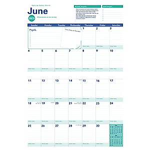 2023 Amy Knapp's Big Grid Family Organizer Wall Calendar: 17-Month Giant Fridge Planning Calendar for Mom with Stickers (Thru December 2023) (Amy Knapp's Plan Your Life Calendars)