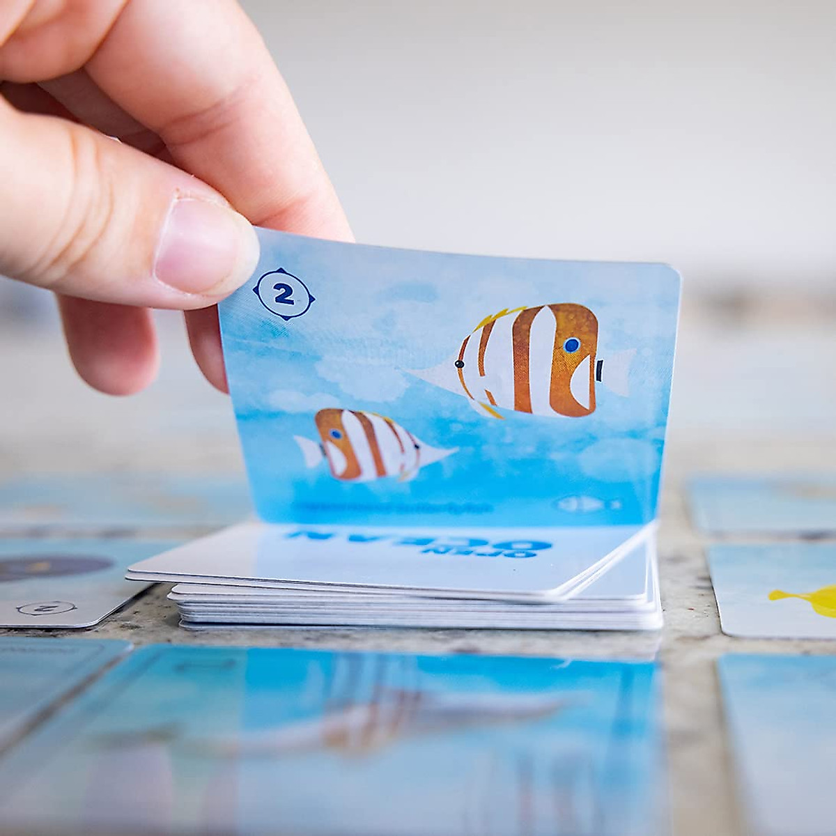 Open Ocean Card Game | Family Friendly Drafting + Tile Placement Game | Enjoyed by Kids, Teens, and Adults | Ideal for 1-5 Players | 8+